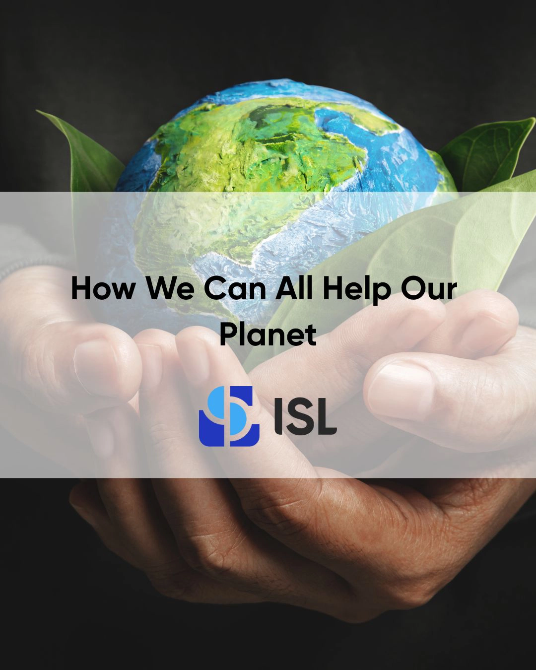 How We Can All Help Our Planet - Information Systems Ltd